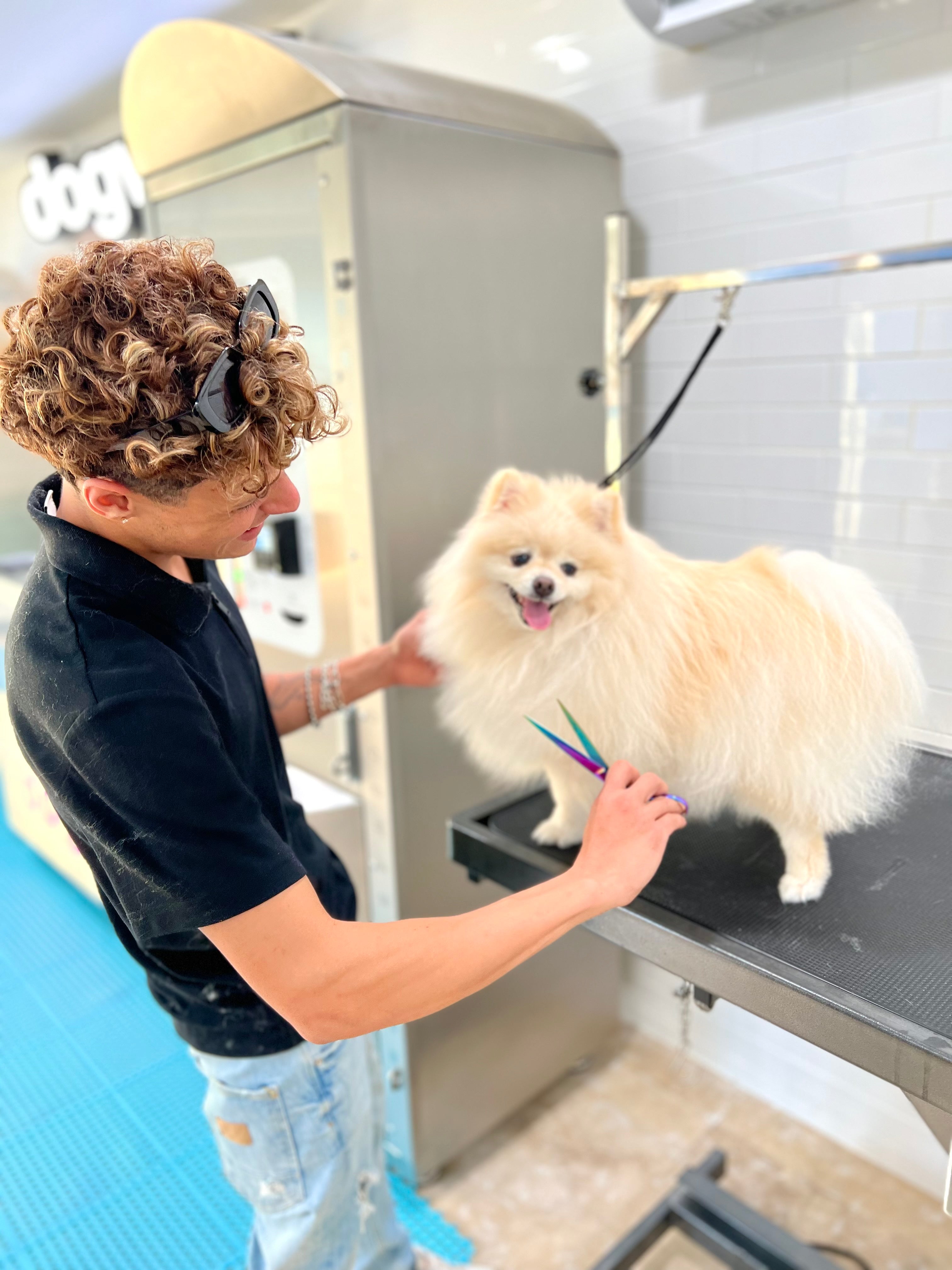 Complete Dog Grooming – The Bark Bath Dog Wash